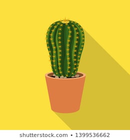 Nay Umerez: TP FORMATO DE IMAGENES