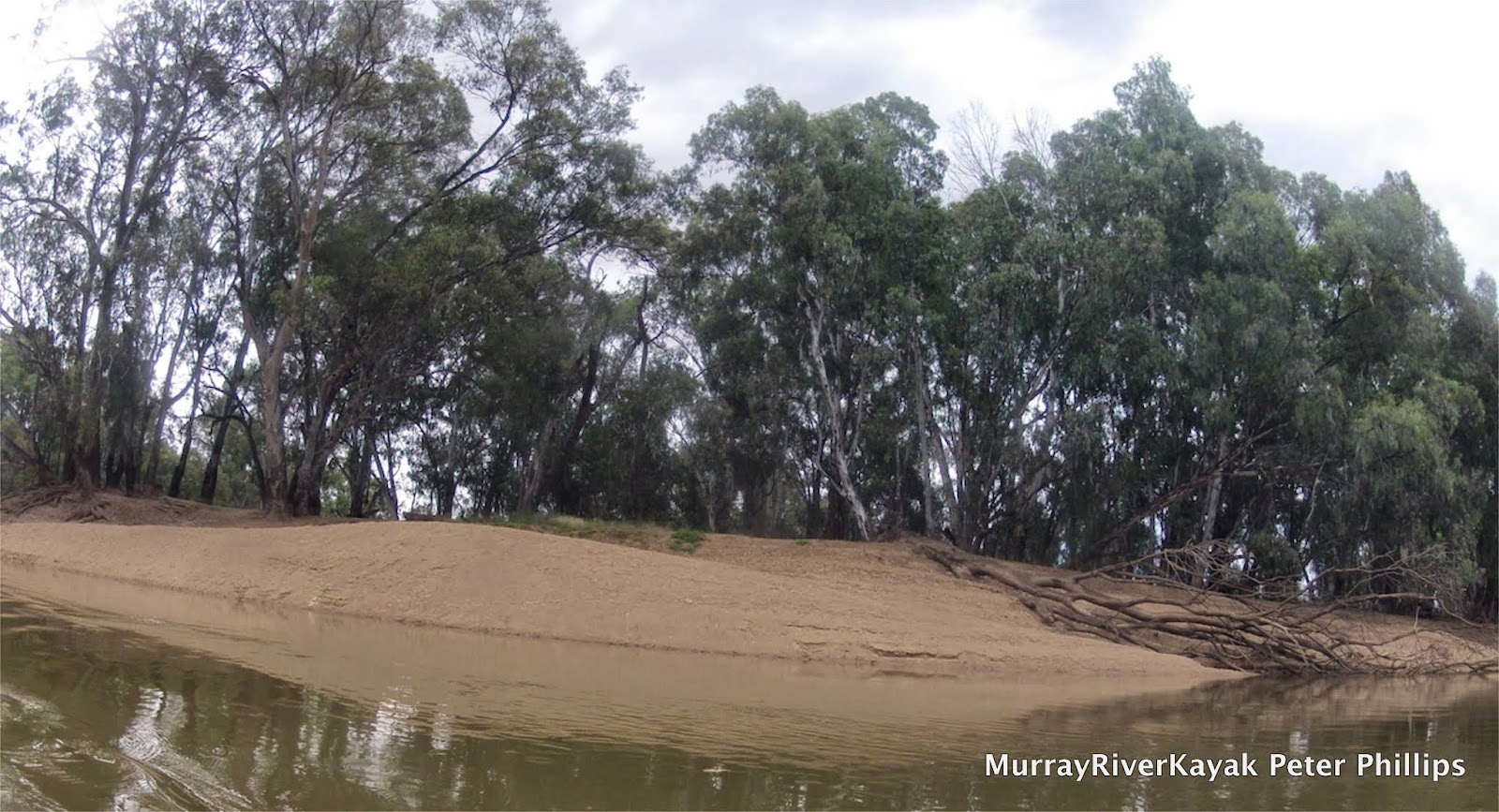 Murray River Kayak.: Day 9: 1325 to1261 km to the sea: Tooleybuc to ...