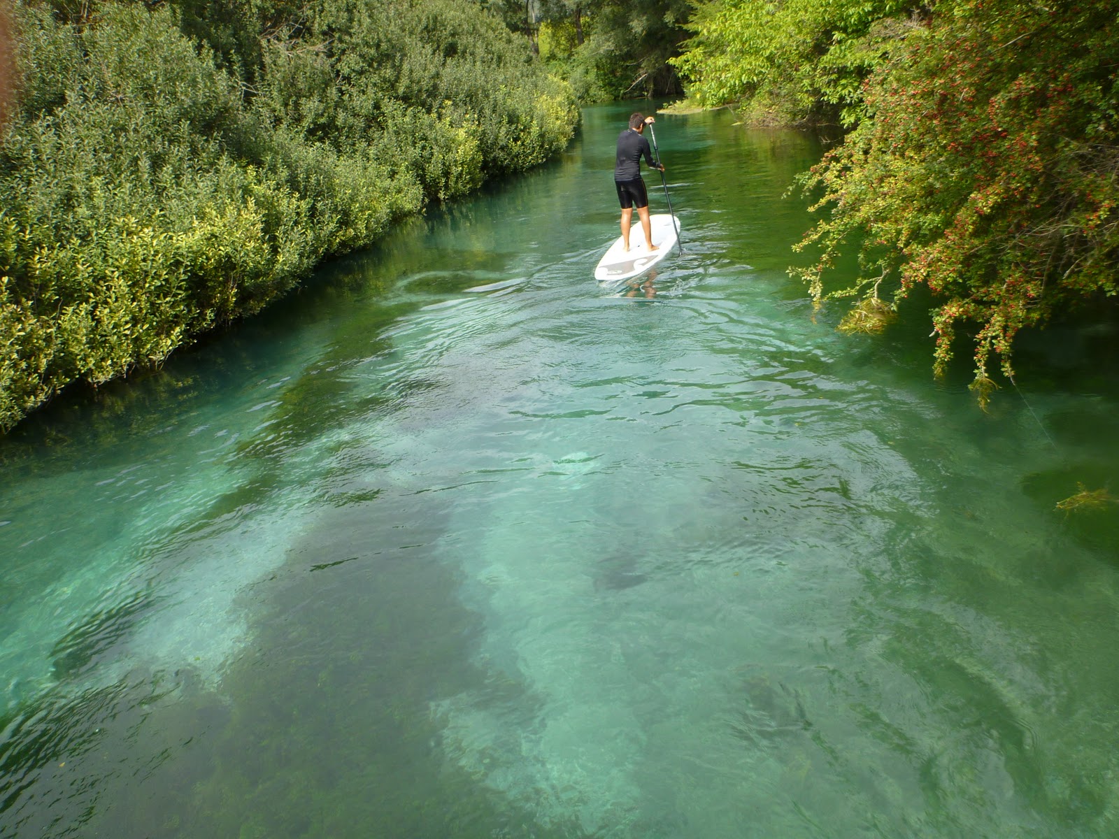 SSP - surfing sports pescara: SUP in the river , free your minde