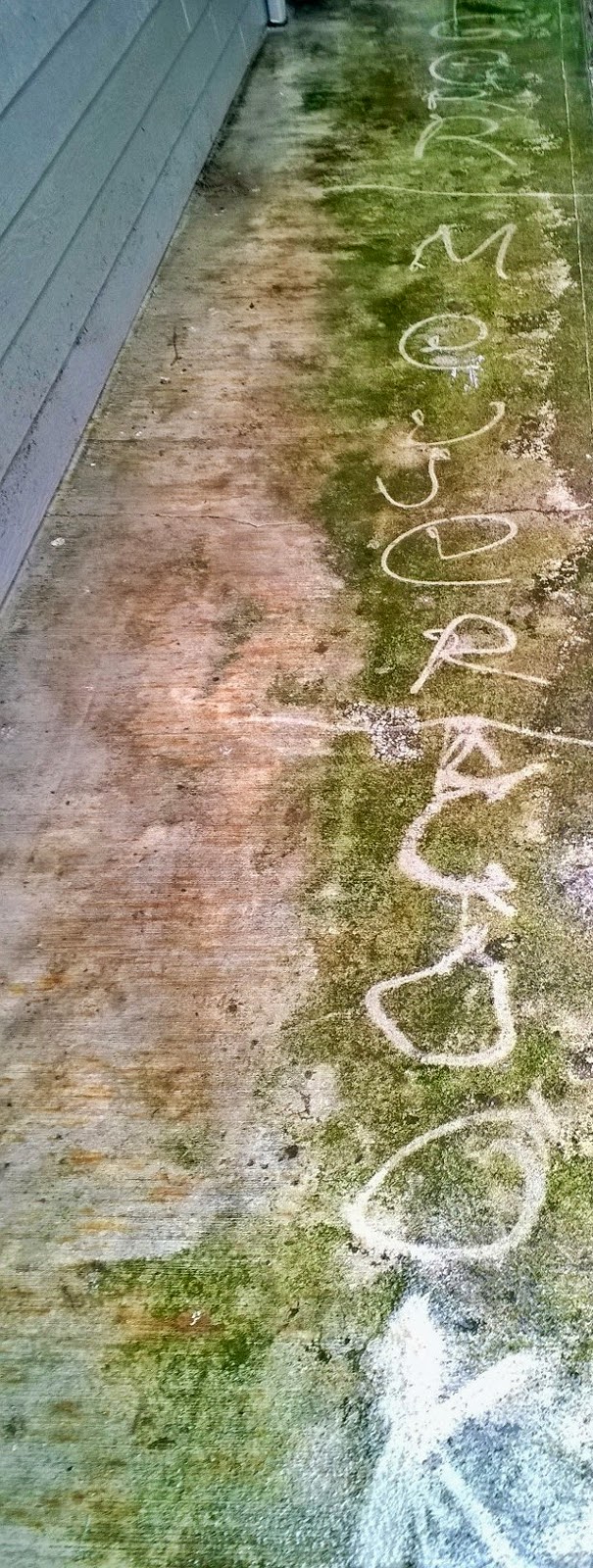 Elder Kyle Garr - Tacoma Washington Mission