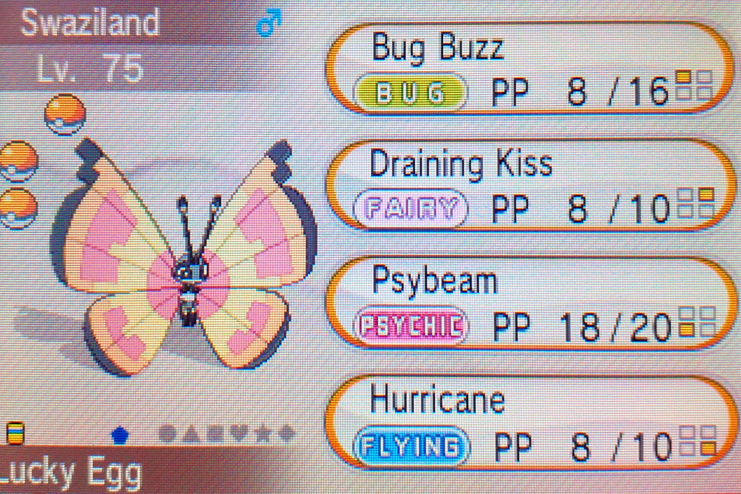 Pokemon X And Y Vivillon Forms