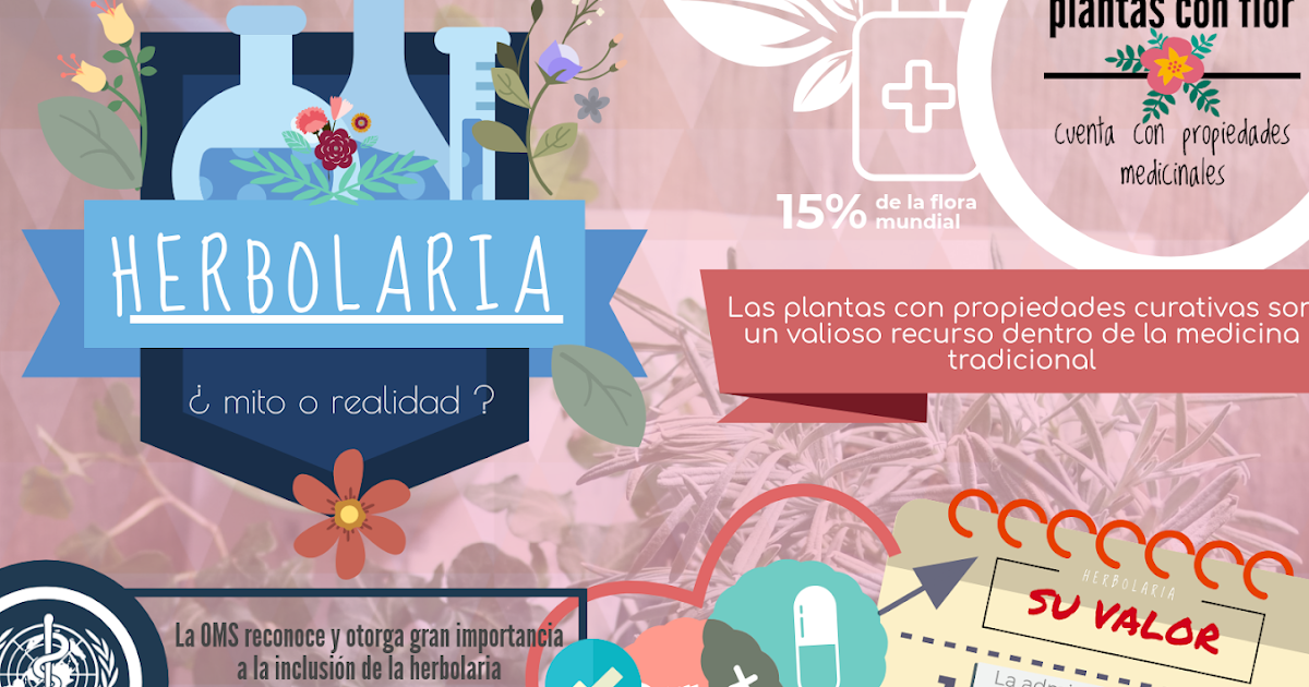 Herbolaria: ¿mito o realidad? (infografía)