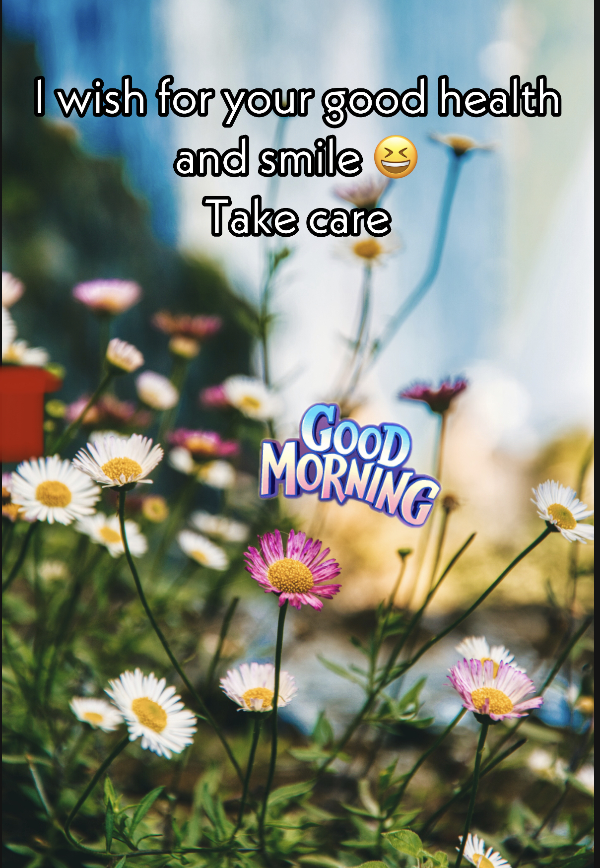 Best Good Morning Status for Love, Friends and Family