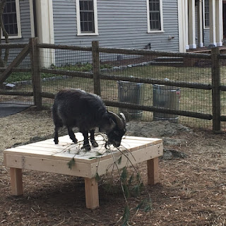 Dispatch from the Digital Health Frontier: Building Unity Farm ...