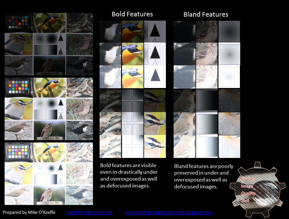 Birding Image Quality Tool: Field Marks - Field Exposure Test
