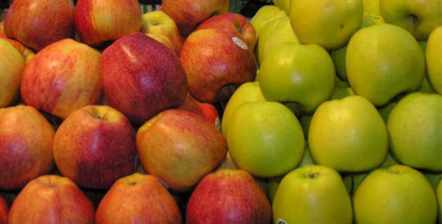 Aceituneros Altivos: 2012