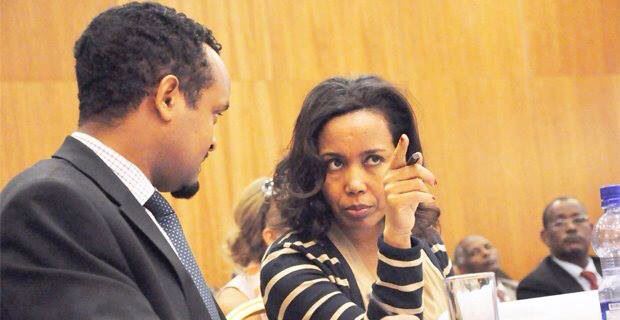 Azeb Mesfin Net Worth - The Wife of Ethiopian Prime Minister Meles ...