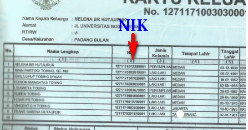 Terlengkap Cara Mengecek Kebenaran Nik (Nomor Induk Kependudukan)