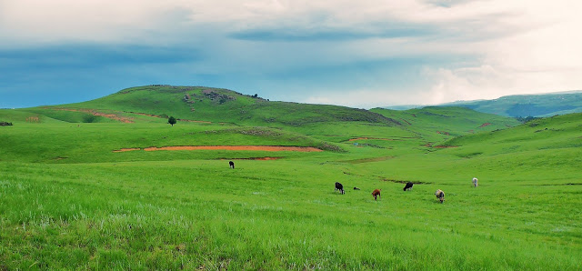 Go with Henry: The South African outback: Bizana in Transkei