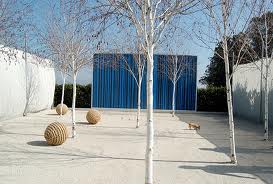 Really...What's a garden? Inquiries into Mindfulness