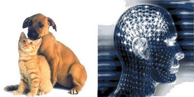 APRENDIZ DE ESPÍRITA: O INSTINTO E A INTELIGÊNCIA