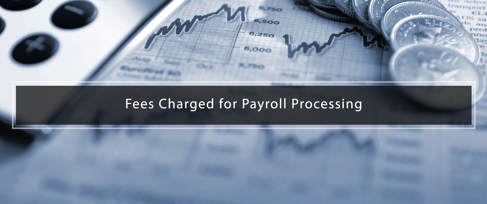 What Is The Cost Of Payroll Services | WeAccounTax | Small business ...
