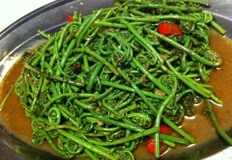 Special About Sarawak: Wild Fern Leaf (Midin)