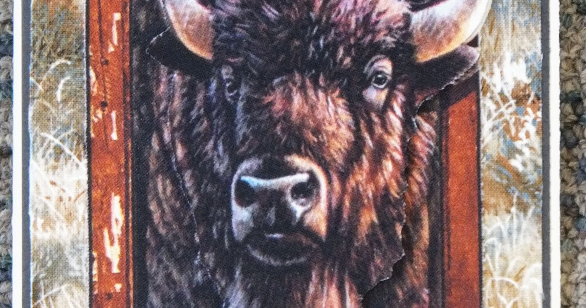 Farmhouse Memories: Buffalo Cards & New Year's Hours