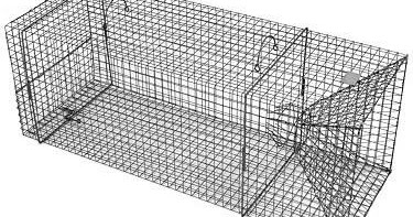 French Vocabulary Illustrated: nasse