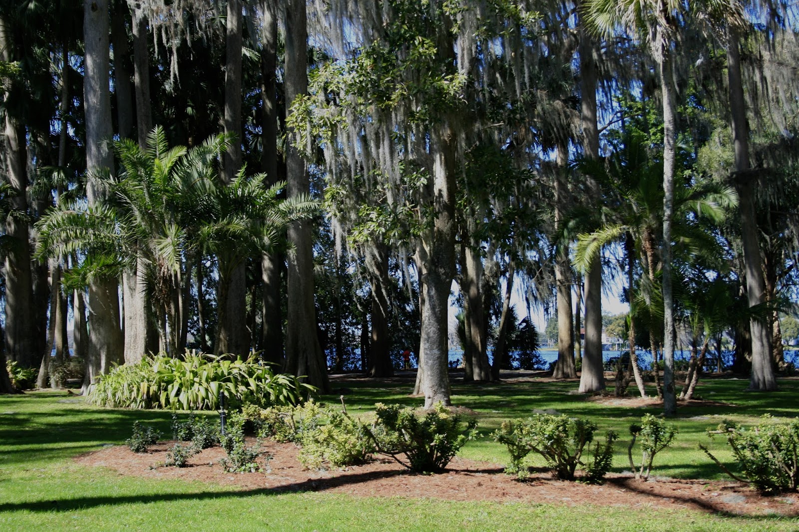 Amy's Creative Pursuits: Kraft Azalea Park