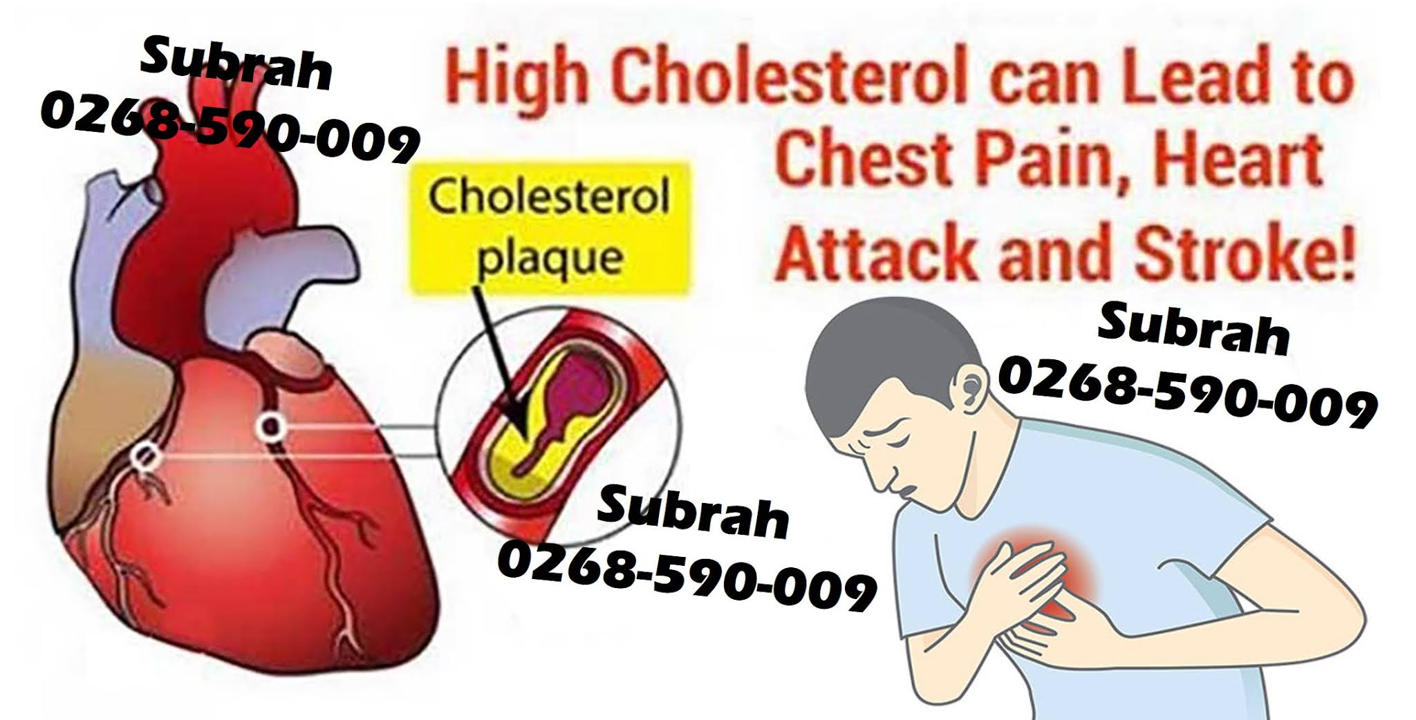 CHOLESTEROLS DETOX PACK- HOW TO BURN HIGH CHOLESTEROLS, CORRECT HIGH ...