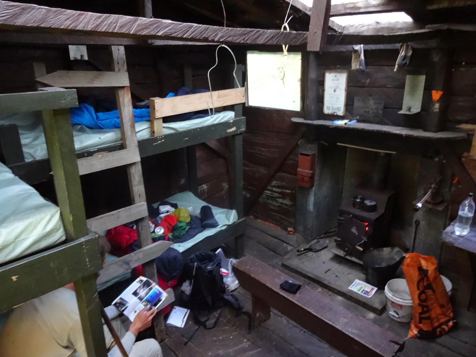 Te Araroa - The Long Pathway: Days 51-55: Pureora Forest