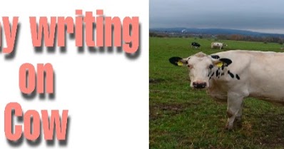 Essay writing on Cow - edunation19