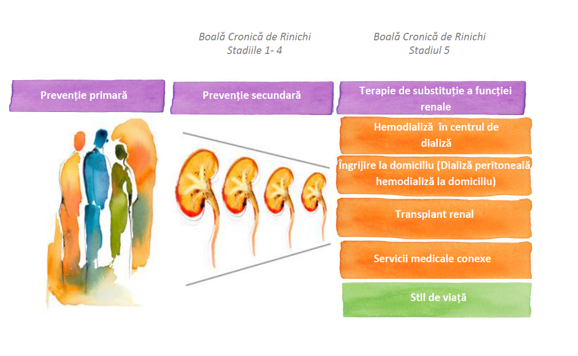 Pentru noi si sanatatea noastra!: Insuficienta renala cronica