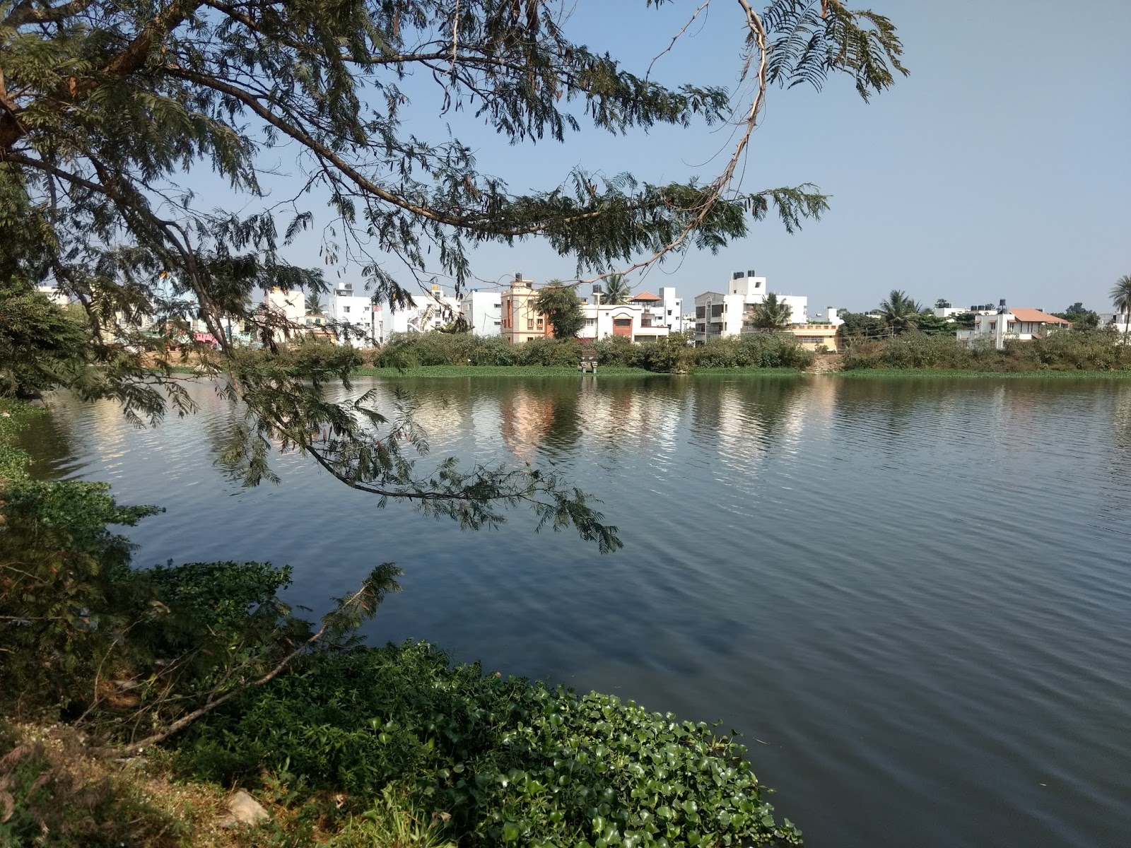 Madiwala lake - Bengaluru lovers spot