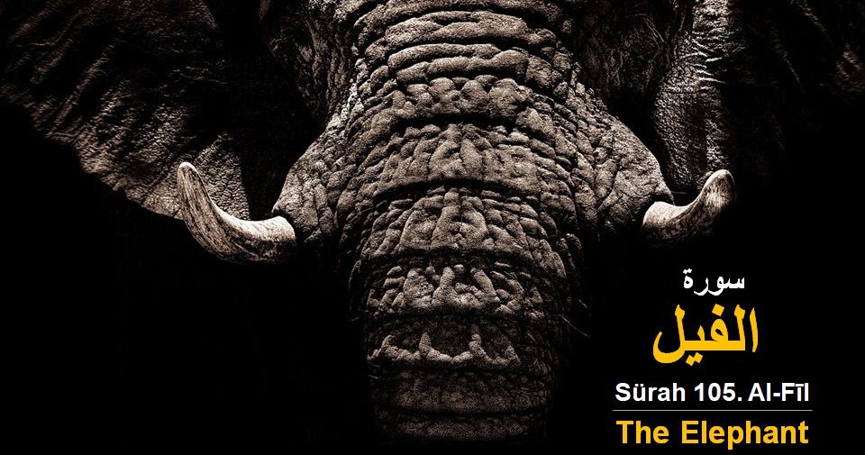 surah.105-al-fil-the-elephant.jpg