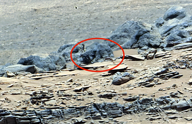 UFO SIGHTINGS DAILY: Ancient Statue Found On Mars In NASA Photo, Half ...