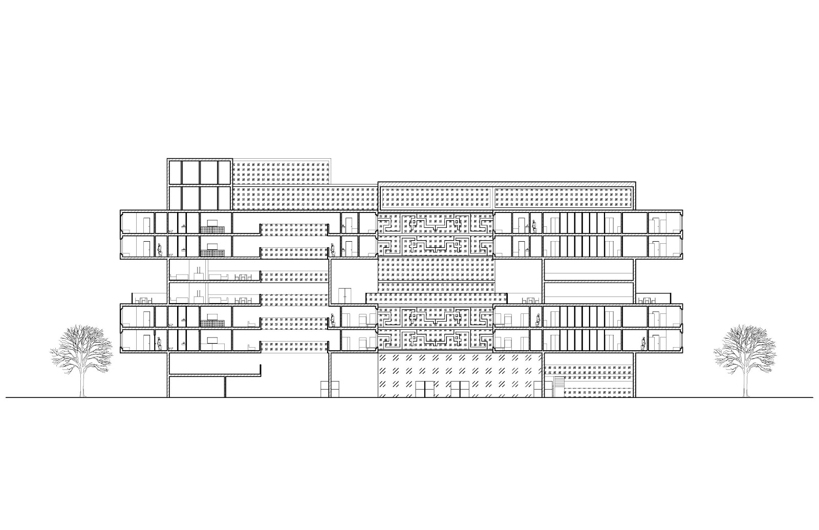 ARCH3611F12TrungNguyen: Section + elevation and perspective