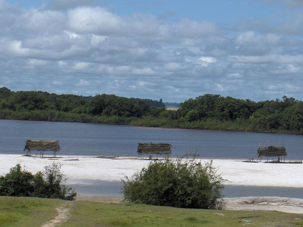 Icono ADN Spain 08: Indigenas........Kurripako