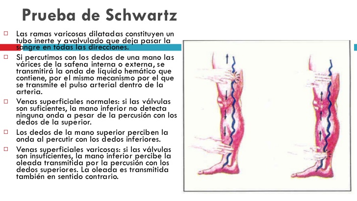 utesadultadorvil.squirurgica