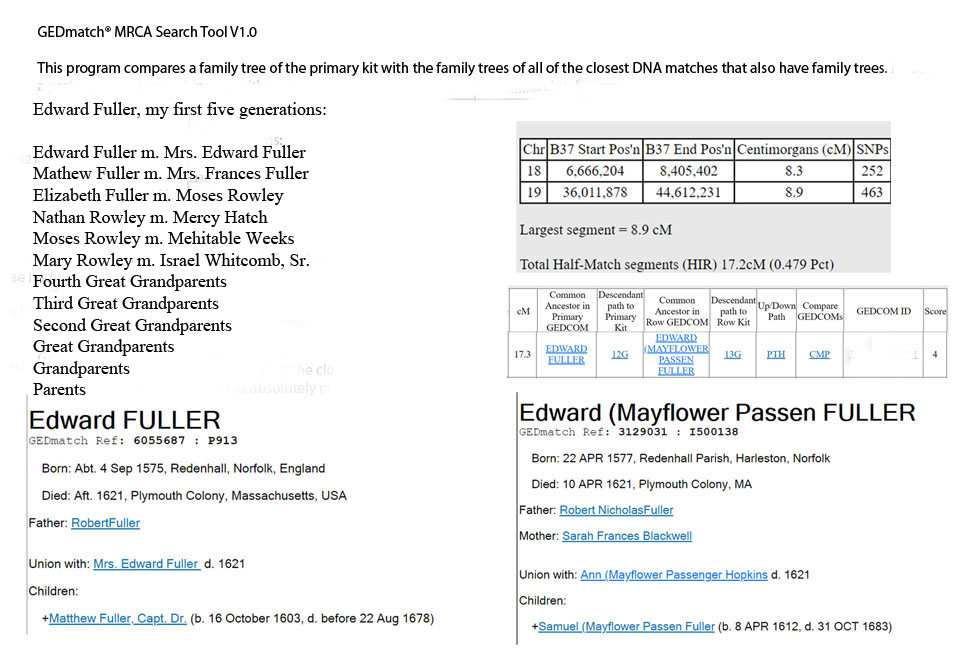 Edward Fuller, Mayflower Passenger DNA Matches