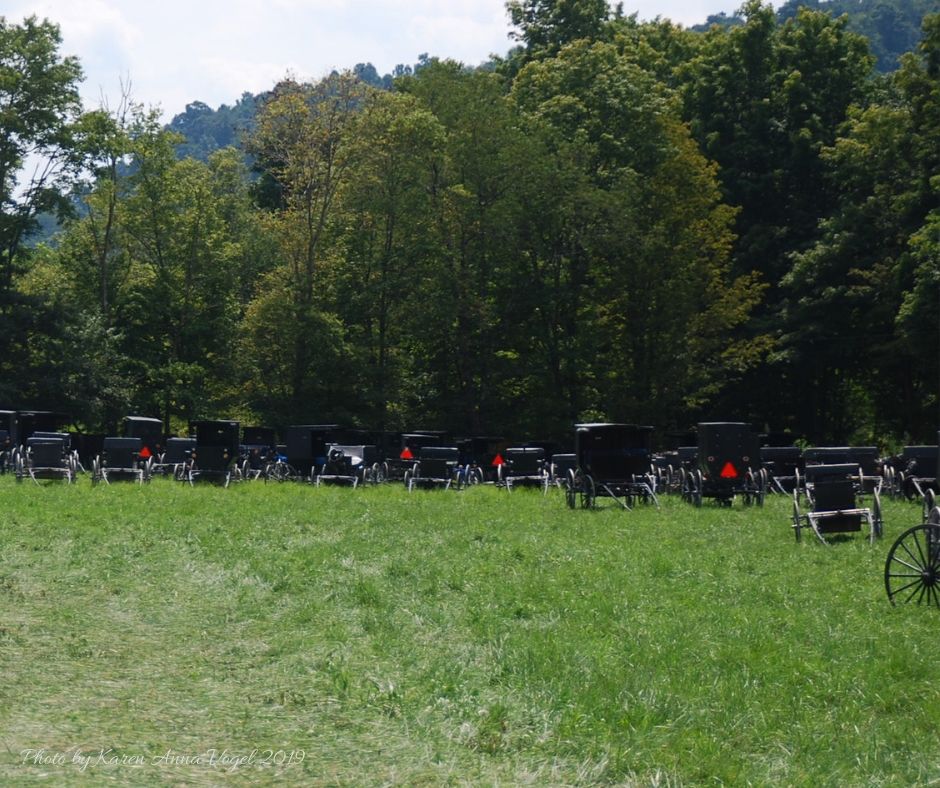 Amish Crossings with Karen Anna Vogel