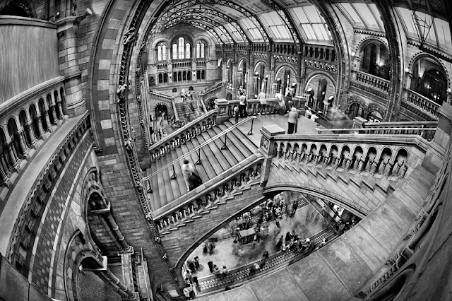 EPQ Experimental Digital Photography Techniques: Fisheye Photography