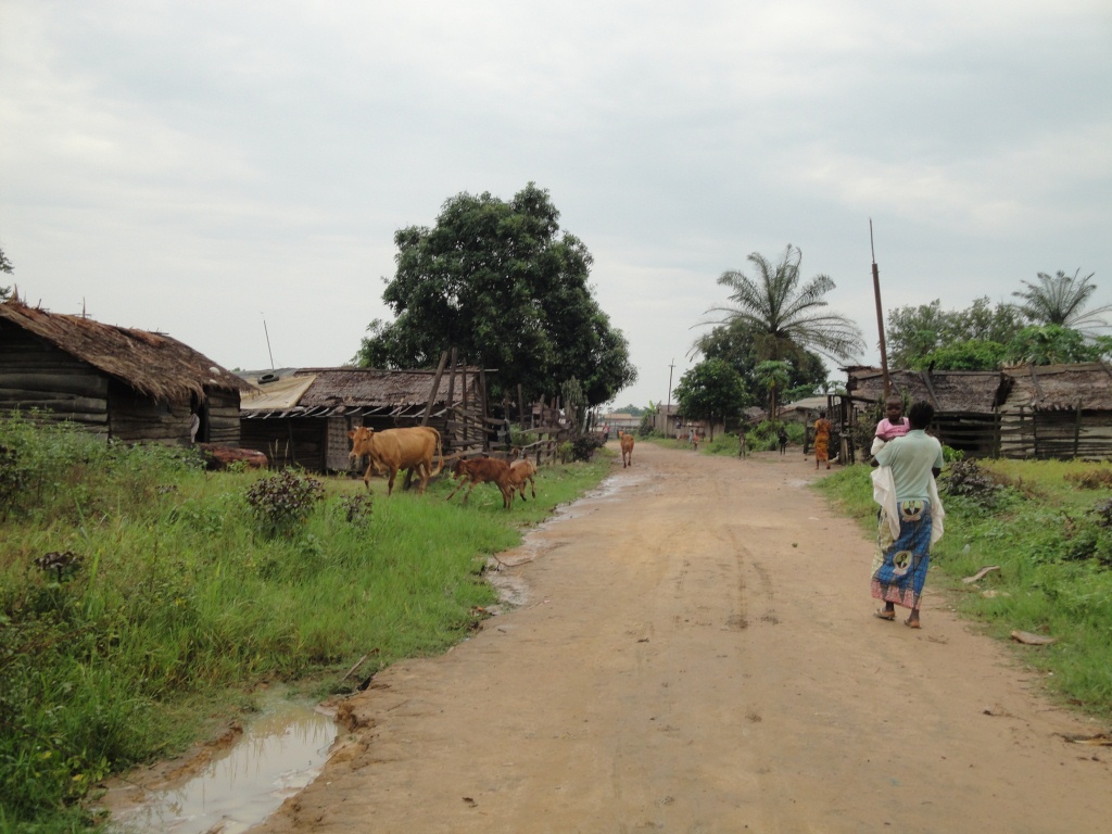 Mon séjour au Congo-Brazzaville: Bétou