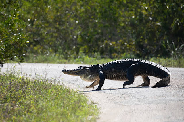 PhyllisWeekes|Photography