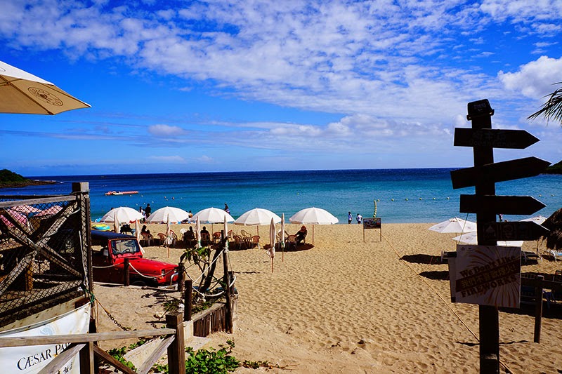 LOHAS @ Taiwan 以乐活的方式旅游台湾 - 乐飞翎 ♥ LUVFEELIN