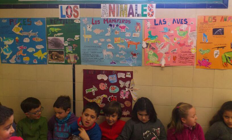 Aprendiendo sobre los animales