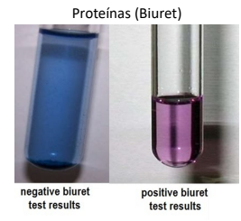 PRÁCTICA 8 REACCIÓN LUGOL