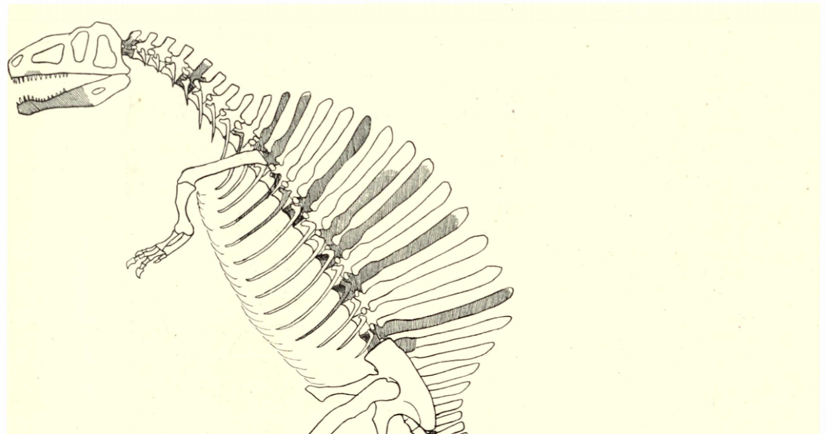 My Prehistoric Saga: What did Spinosaurus Look Like Part 1: The Limbs.