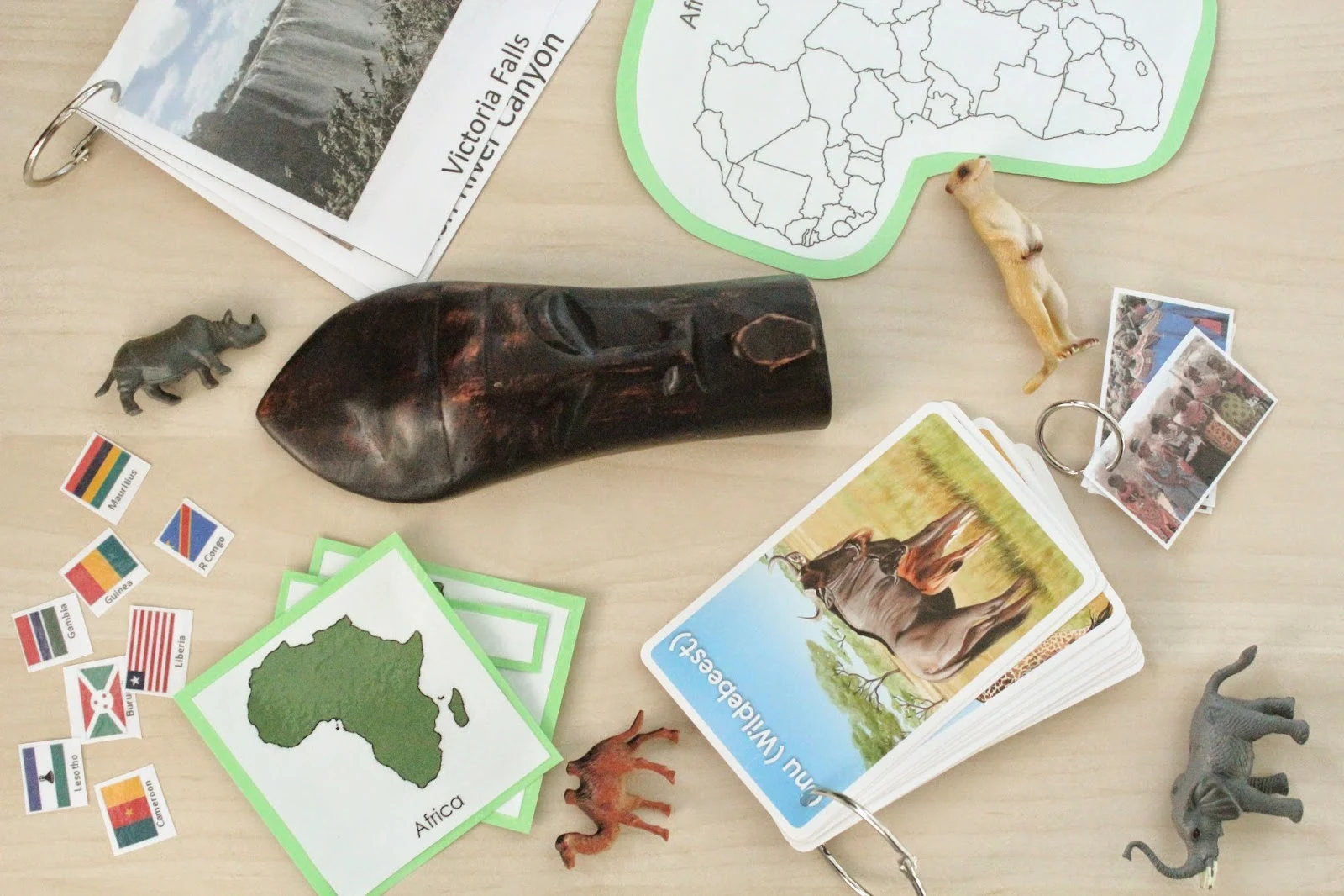 Montessori Geography Trays