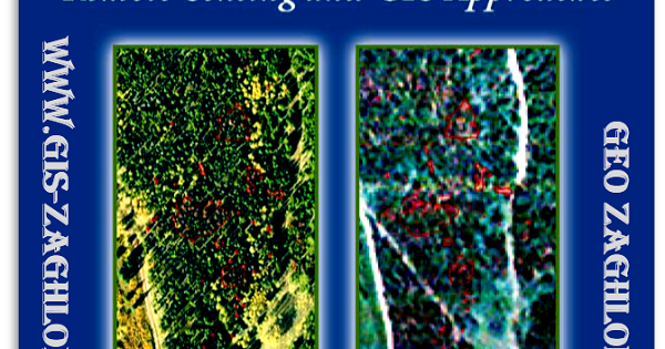 تحميل كتاب فهم اضطراب الغابات والنمط المكاني Understanding Forest Disturbance and Spatial ...