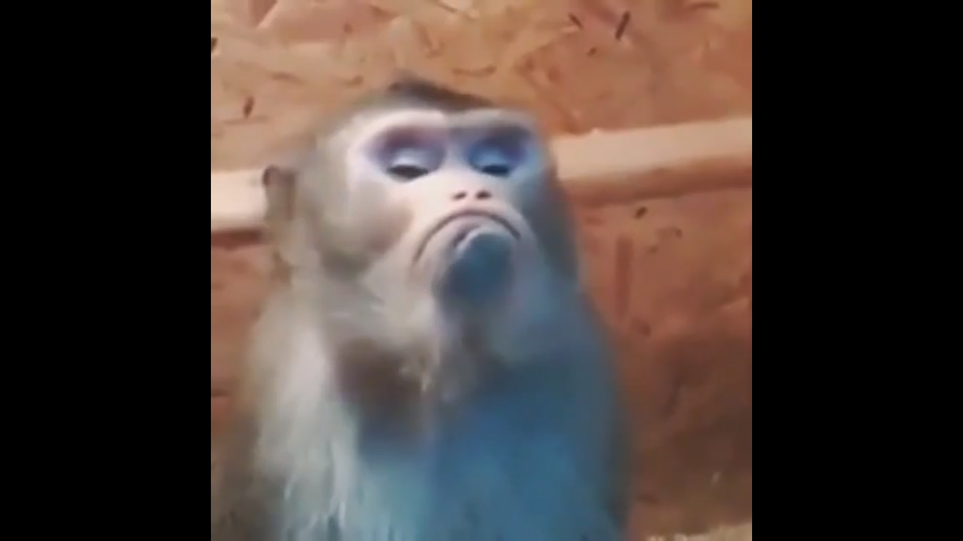 Variety World: Not Satisfied Not Impressed