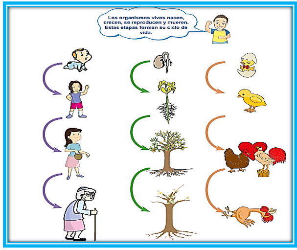 BIENVENIDOS AL GRADO 1B: Ciencias Naturales
