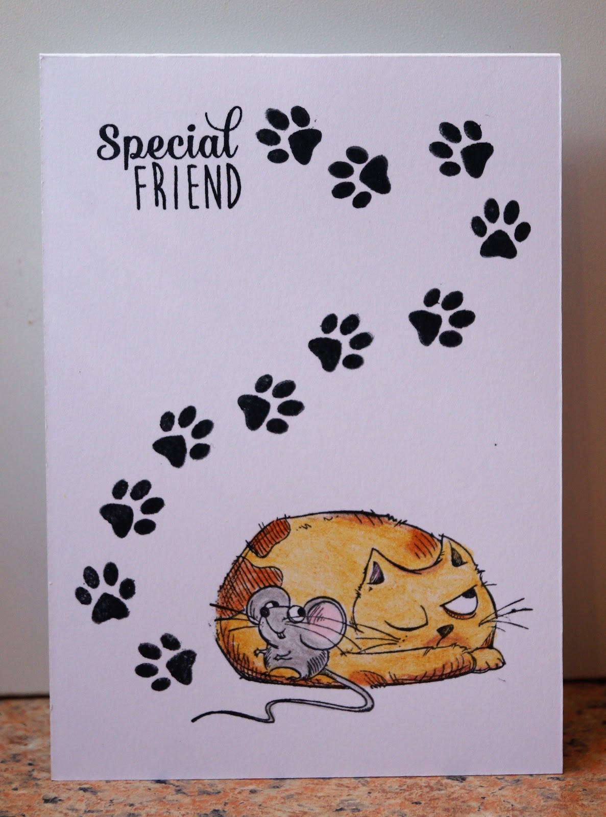 Onions and Paper: Cat and mouse game