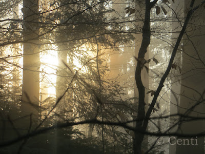 Centi bastelt: Sonne und Nebel