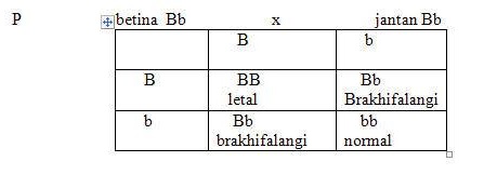 BIOLOGI GONZAGA: MACAM - POLA HEREDITAS ANOMALIA TEORI MENDEL
