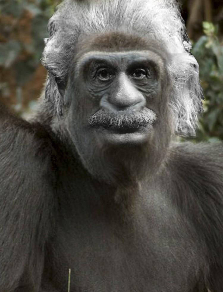 Amazing Pictures Of Human Faced With Animals ~ FunGur.BlogSpot.com