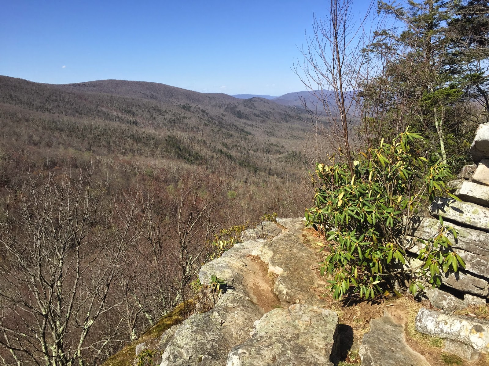 Wandering Virginia: Mountain Lake Wilderness