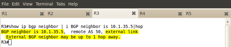 Hacking Cisco: Lab 135 - BGP TTL Security