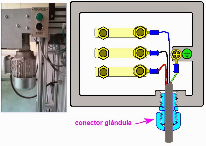 coparoman: Conector glándula